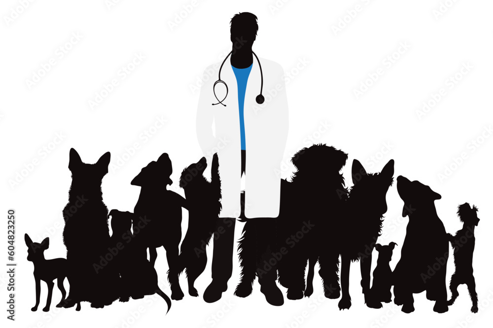 Vector silhouette of veterinary with group of dogs on white background ...