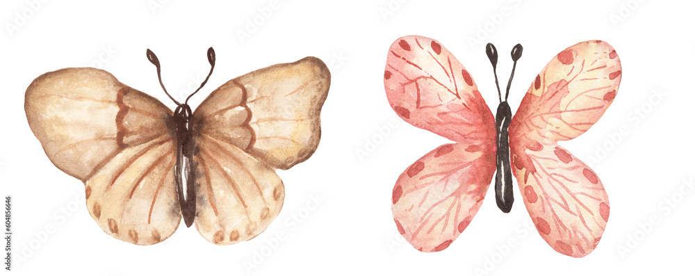 Watercolor butterfly illustration set, insect clipart, moth Stock ...