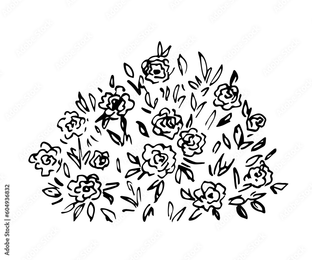 Simple black outline vector drawing. Bush of roses, peonies, garden ...