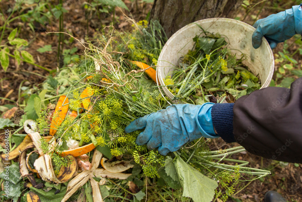 Compost pile with bio waste. Farmer hands put weeds grass plants and ...