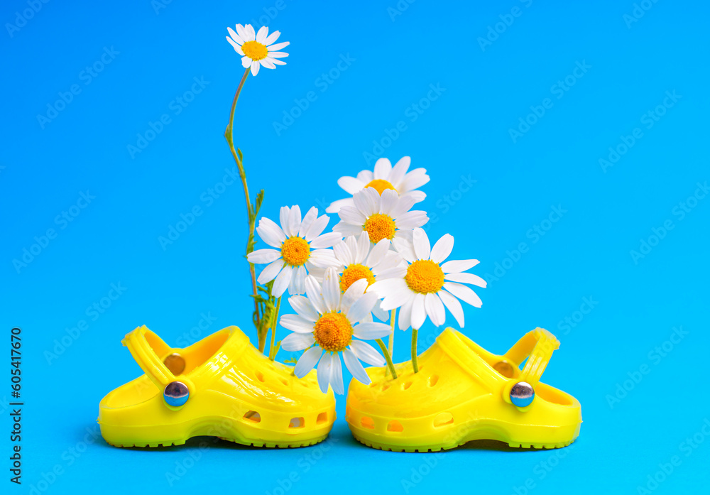Kyiv, Ukraine - May 18, 2023 - Daisies Grow from Miniature Yellow Crocs ...