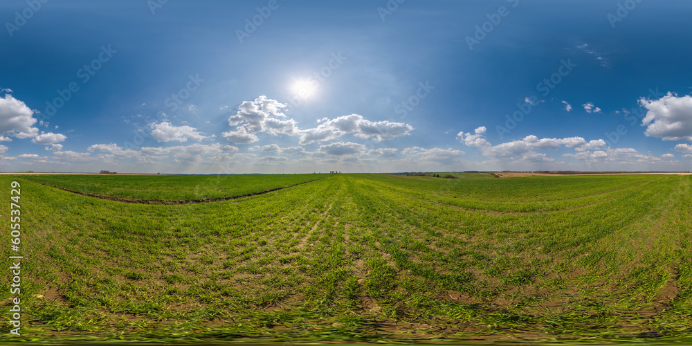 spherical 360 hdri panorama among green grass farming field with clouds ...
