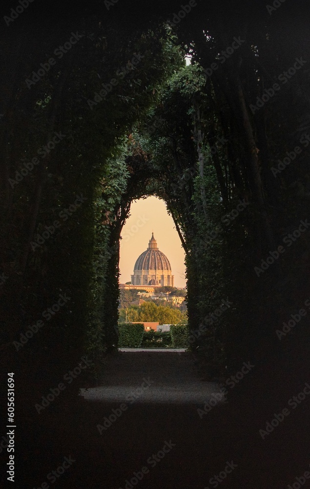 Beautiful view of the St. Peter's Basilica in Vatican City, through ...