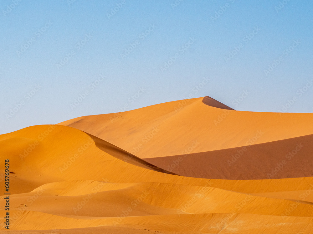 Sharp lines of red sand dunes contrasted by blue sky copy space in ...