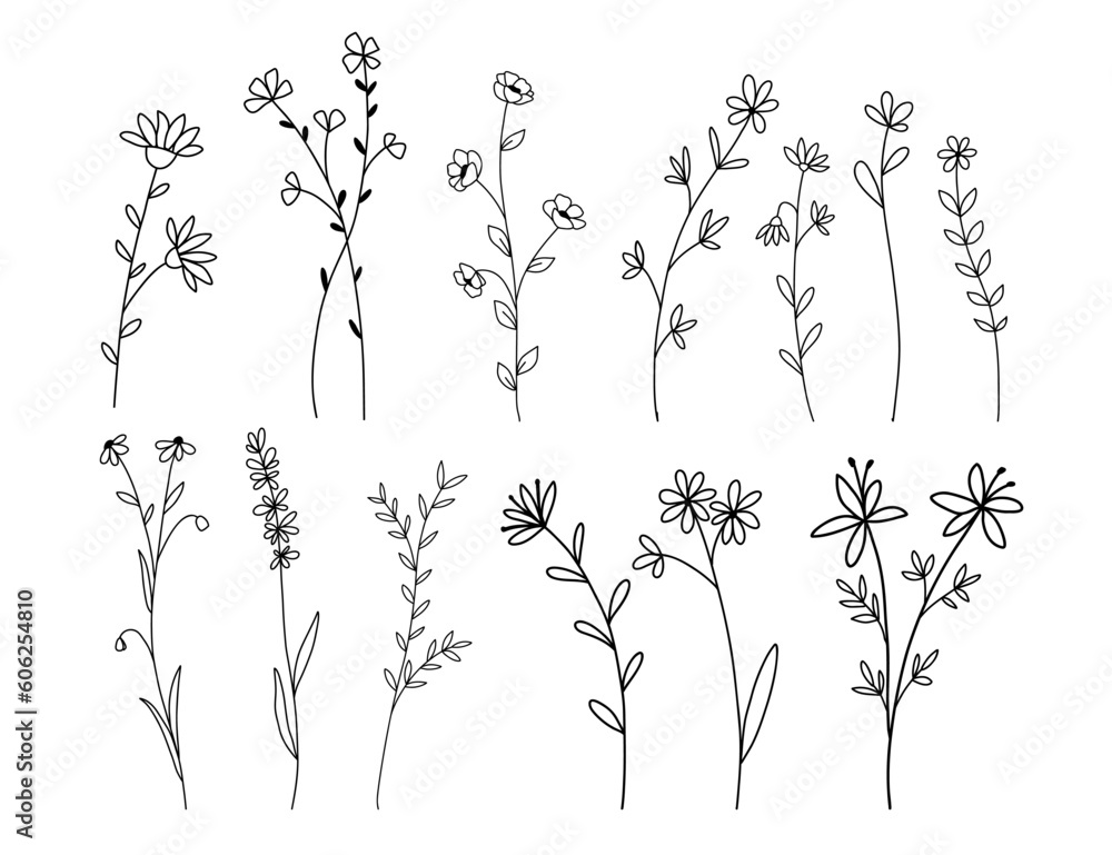 Hand drawn wildflowers set. Vector outline flower sketch. Line art ...
