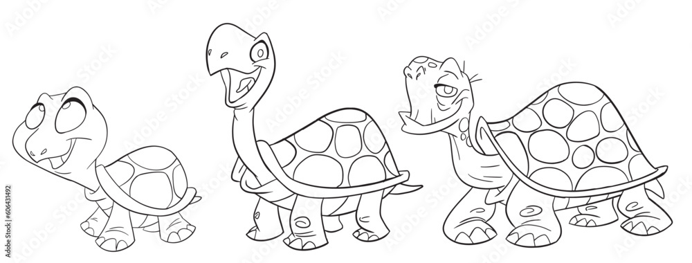 Vector set of cartoon style turtles . Animal character illustration for ...