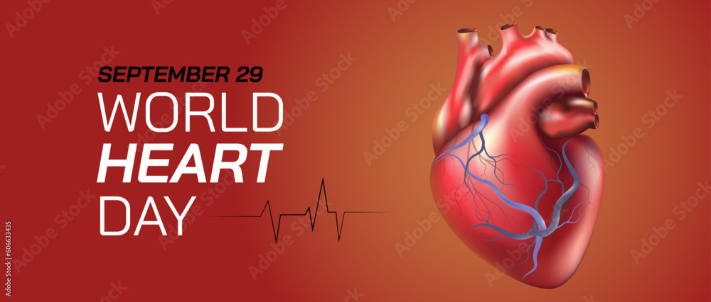 World heart day September 29 banner template with realistic human heart ...