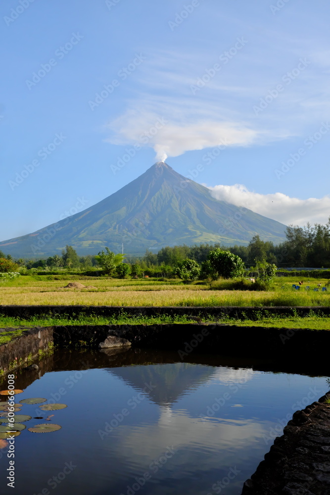 Beautiful scenic portrait of Mayon volcano with rice field in Albay ...