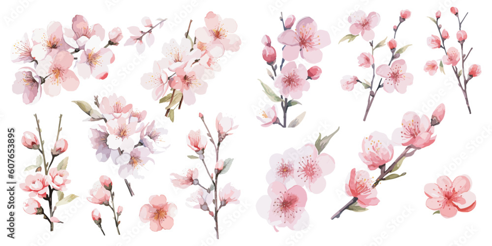 watercolor sakura blossom clipart for graphic resources Stock Vector ...