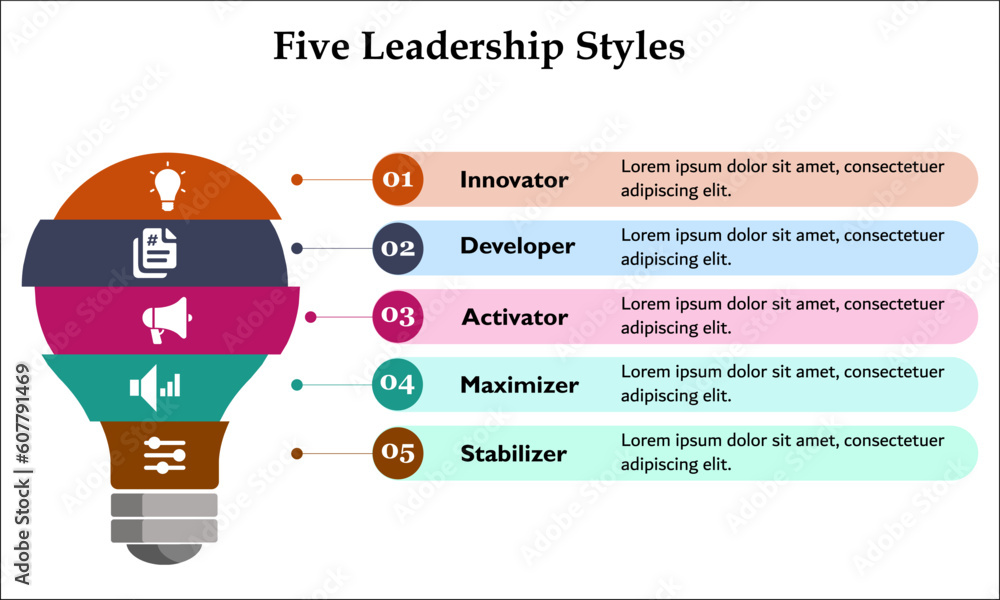 Five Leadership styles - Innovator, developer, activator, maximizer ...