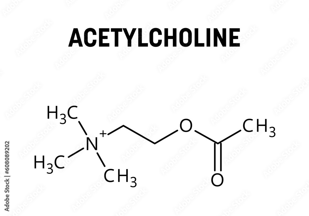 Acetylcholine molecular structure. Acetylcholine is neurotransmitter ...