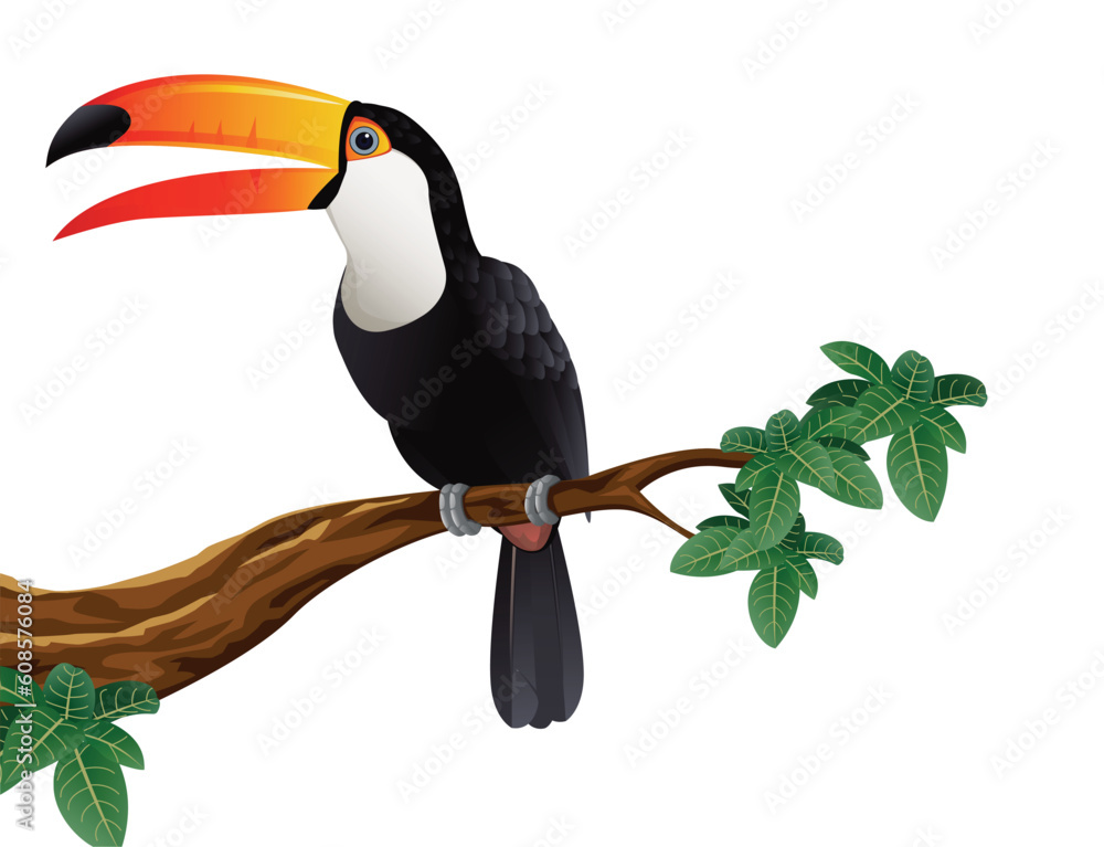 Toucan Bird illustration Stock Vector | Adobe Stock