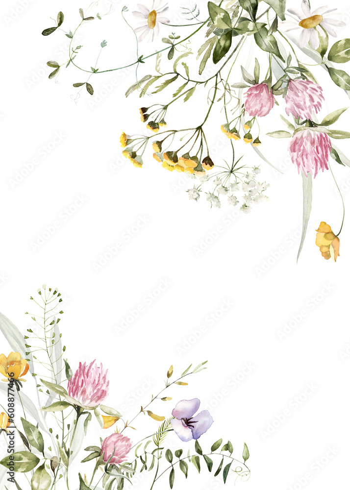 Wild field herbs flowers. Watercolor border frame - illustration with ...