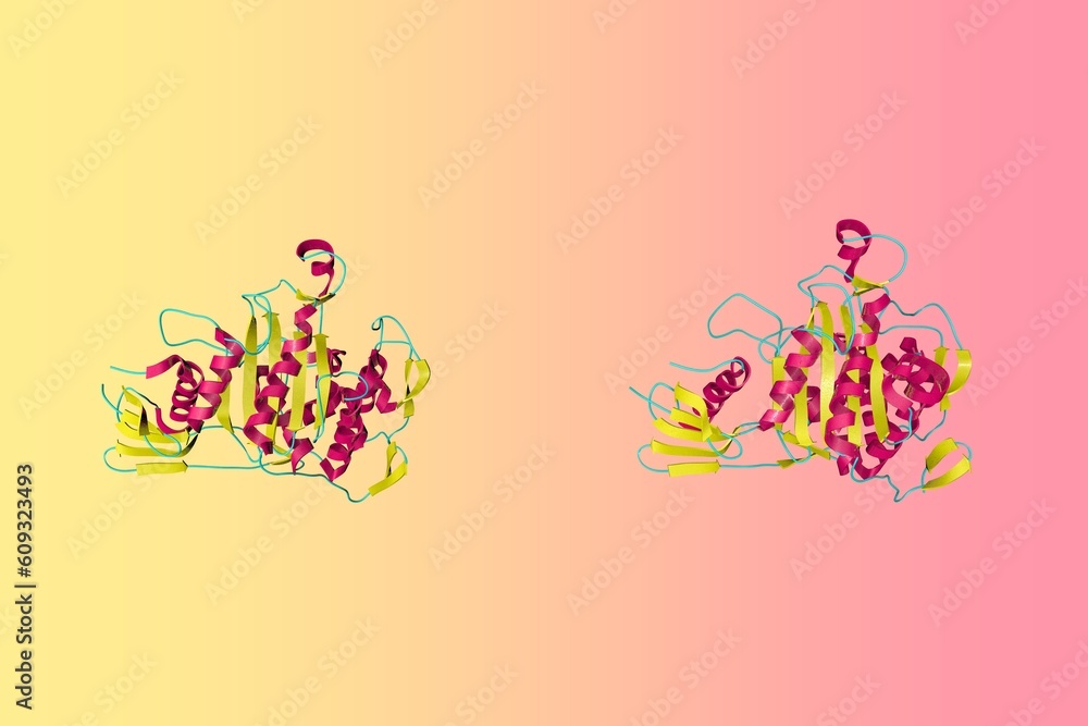Illustration Stock Crystal structure of penicillin-binding protein 1A ...