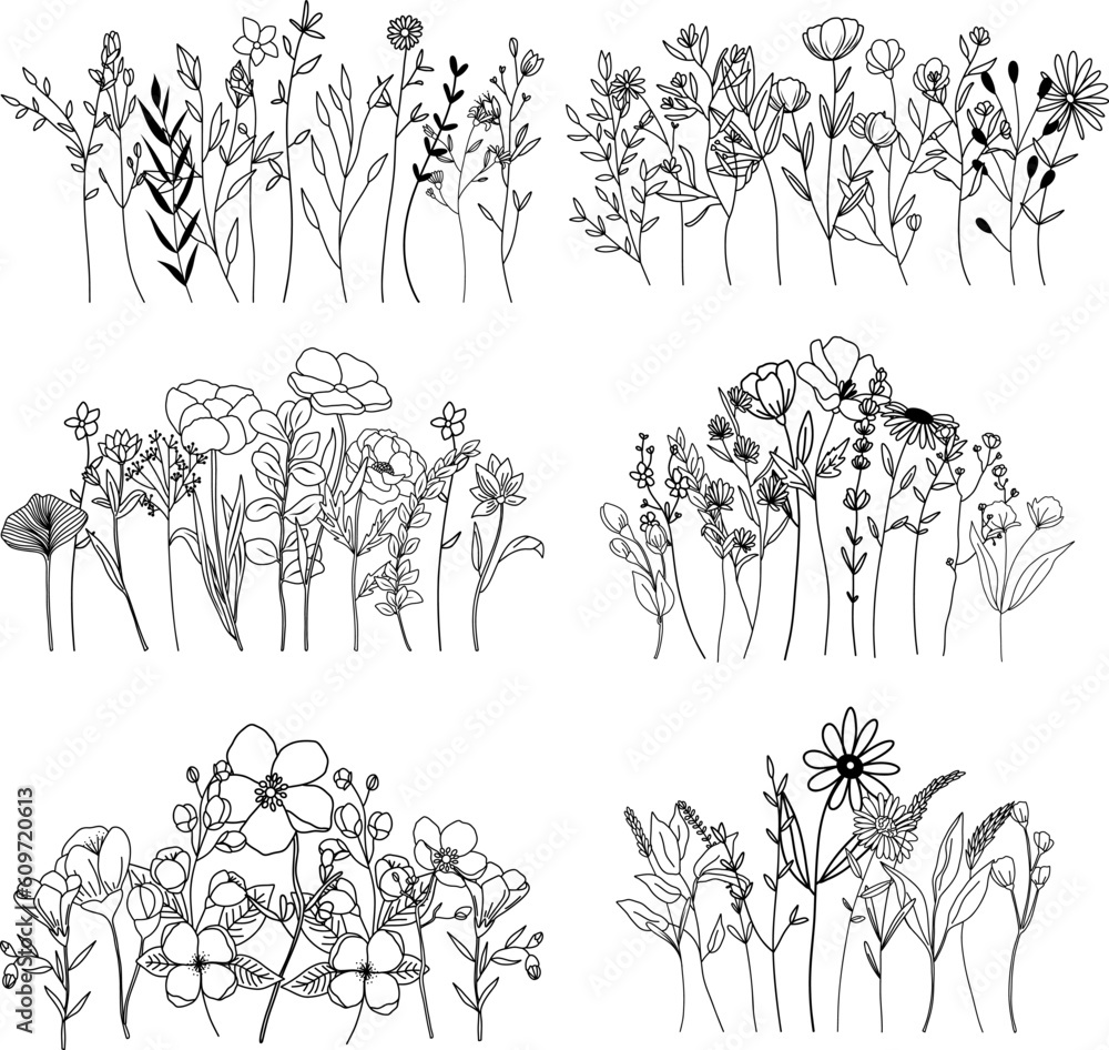 Botanical abstract line art composition, minimal floral border of hand ...