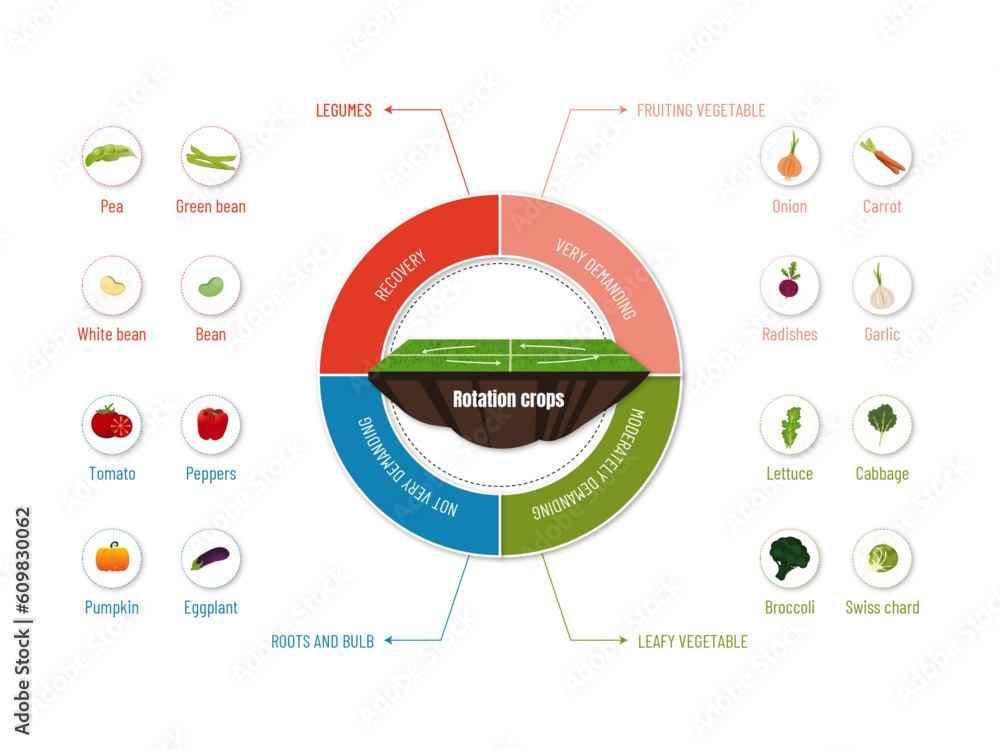 Circular Infographic: Discover the Crops in Each Crop Rotation ...