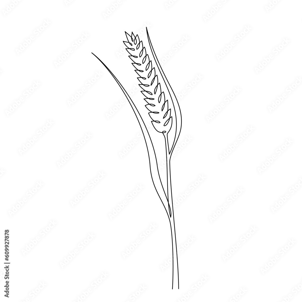 One continuous line drawing of wheat grain ear. Single line drawing of ...