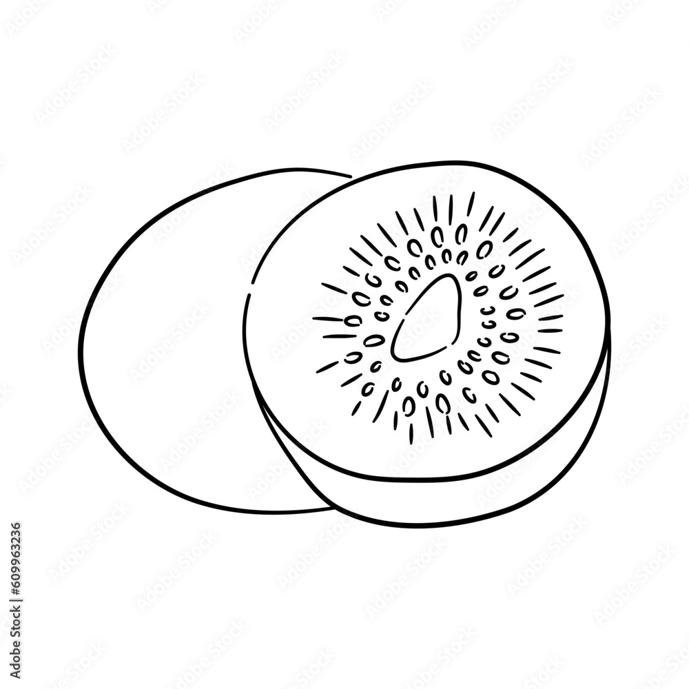 Kiwi. Hand drawn outline doodle icon. Transparent isolated on white ...