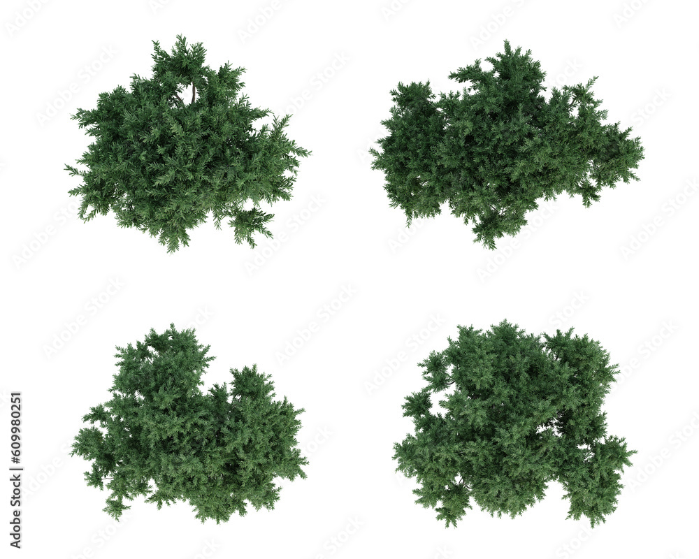 Set of tree on top view isolated on transparent background, 2d plants ...
