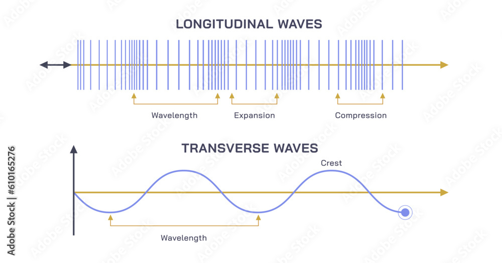 Types of sound waves vector illustration. Longitudinal waves, and transverse waves. Sound ...