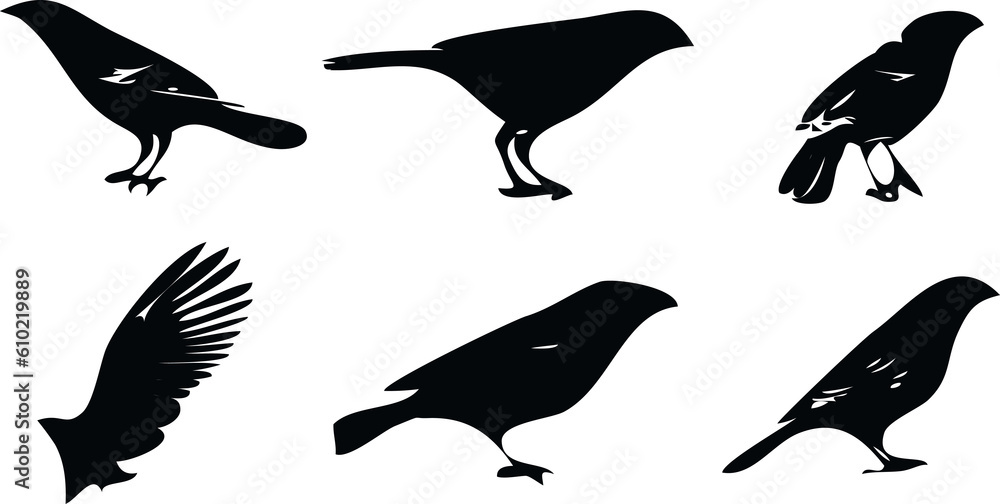 simple bird silhouettes collection for icon or logo Stock Illustration ...