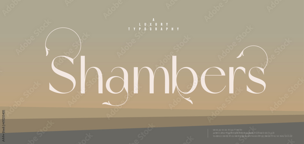 Elegant wedding alphabet letters font and number. Typography Luxury ...