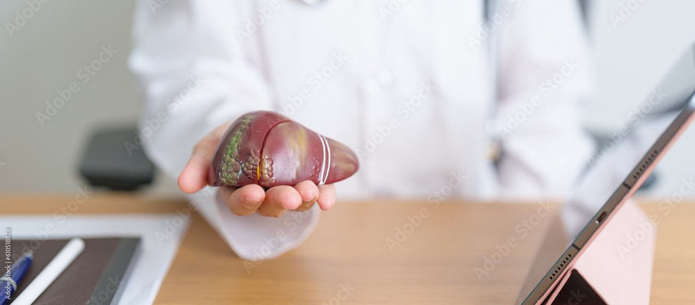 Doctor with human Liver model and tablet. Liver cancer and Tumor ...