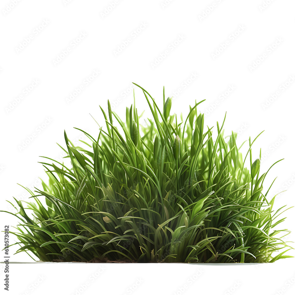 Green grass leaves realistic isolated on Transparent Background, Png ...