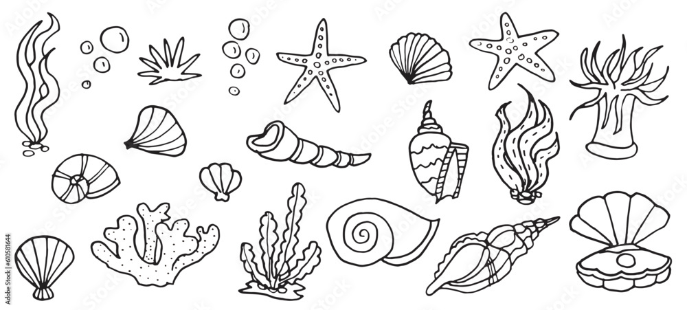Ocean underwater shell doodle set, tropical outline sea cartoon icons ...