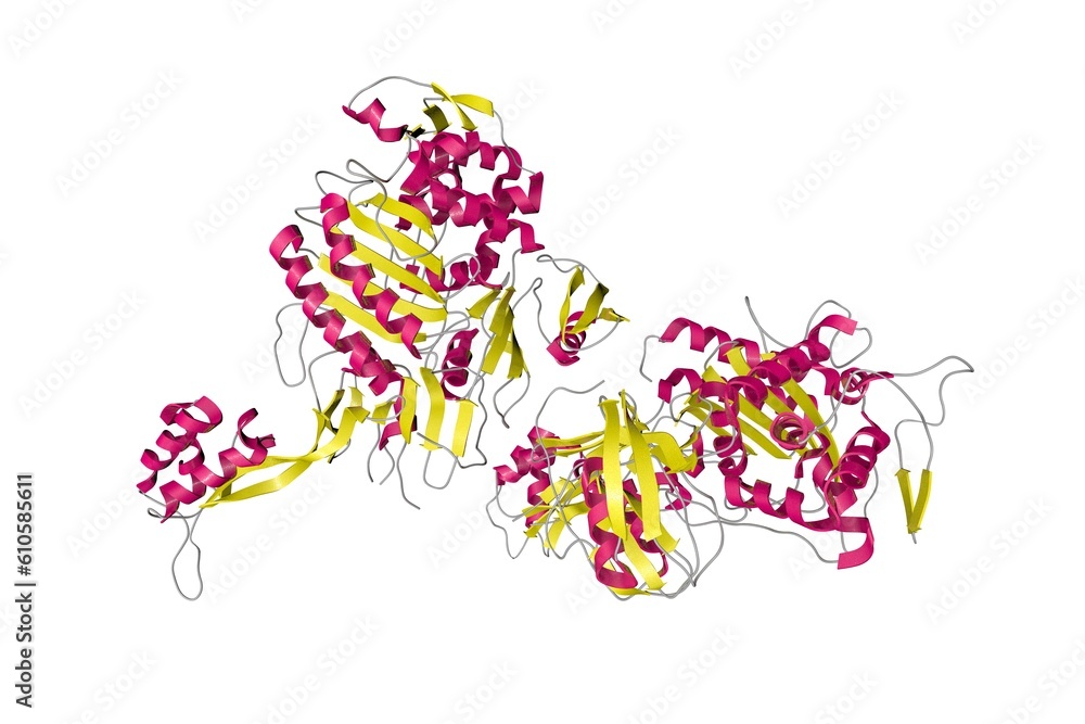 Penicillin-binding protein 2X (PBP 2X) acyl-enzyme complex from ...