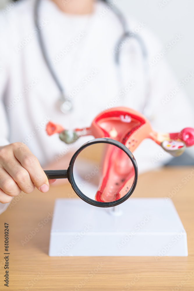 Doctor with Uterus and Ovaries anatomy model and magnifying glass ...