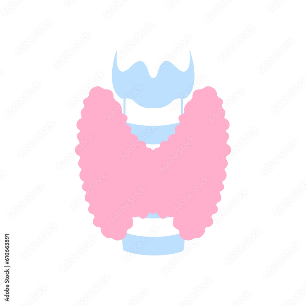 Image vectorielle Stock Thyroid gland lobes icon. Thyroid hormones ...