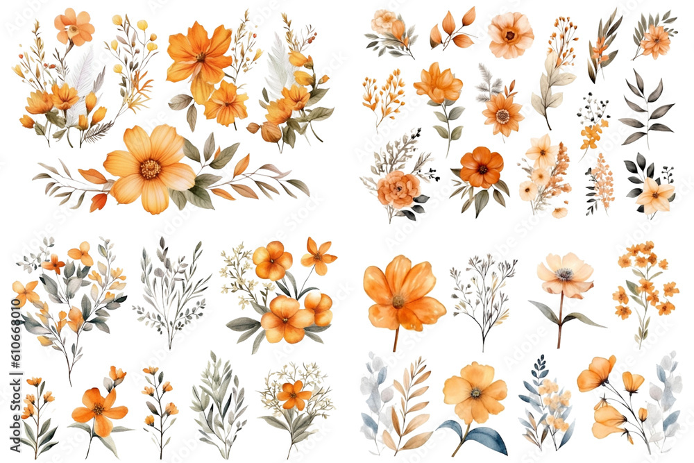 Watercolor flowers on a white background without shadows for ...