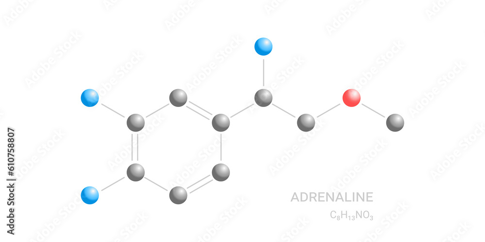 Adrenaline or adrenalin, epinephrine neurotransmitter molecule ...
