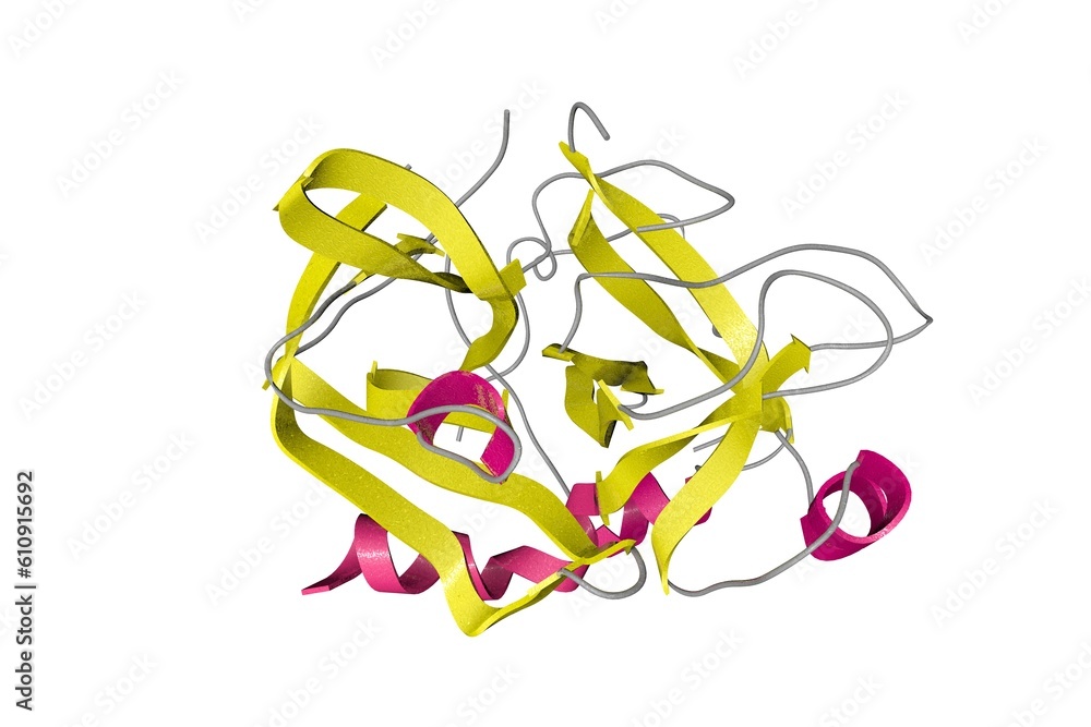 Crystallographic structure of human gamma-thrombin. Ribbons diagram in ...