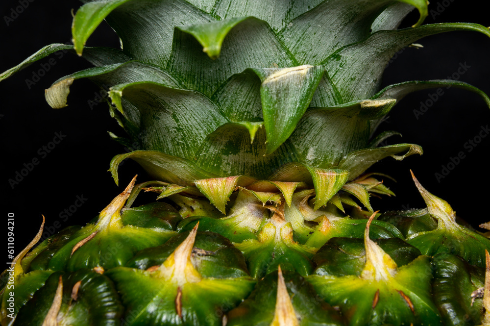 Foto de Stock Macro fotografía de una piña. Unión de la corona y el ...