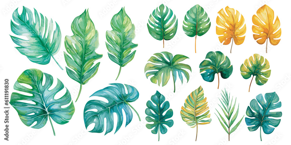 watercolor tropical leaves clipart for graphic resources 素材庫向量圖 | Adobe ...