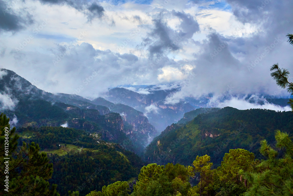 beautiful canyon with mist and amazing clouds, forest in summer ...
