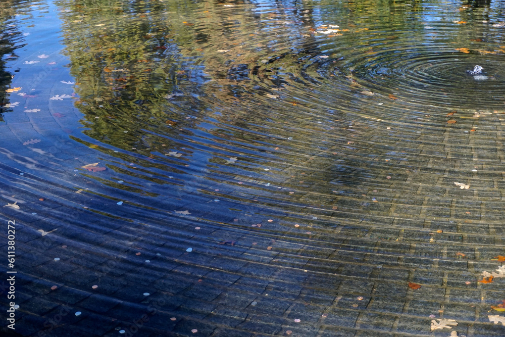 The Bronx, New York: Autumn leaves floating in a stone fountain; water ...
