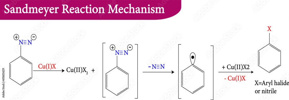 Sandmeyer Reaction Mechanism , vector illustration Stock Vector | Adobe ...