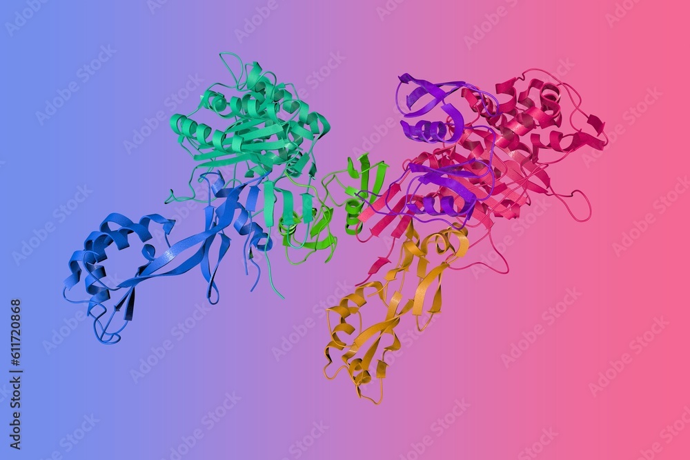 Penicillin-binding protein 2X acyl-enzyme complex from Streptococcus ...
