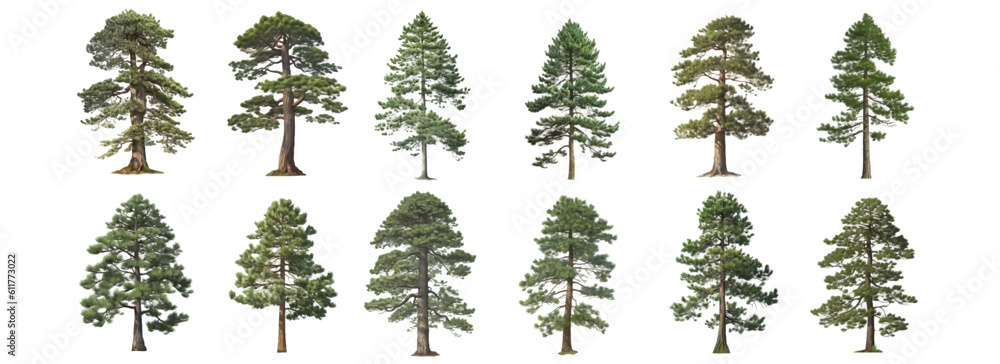 Set of tree isolated, Realistic pine trees natural objects: trees ...