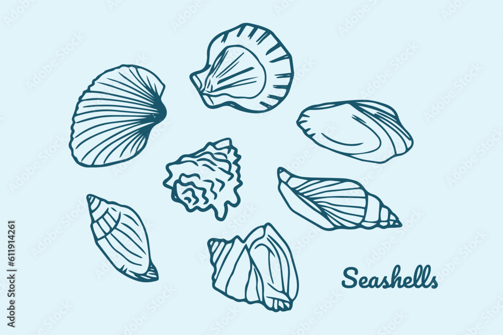 Doodle seashells set. Various sea shells types. Hand drawn vector ...