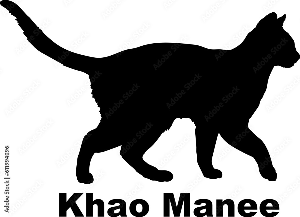 Khao Manee Cat silhouette cat breeds Stock Vector | Adobe Stock