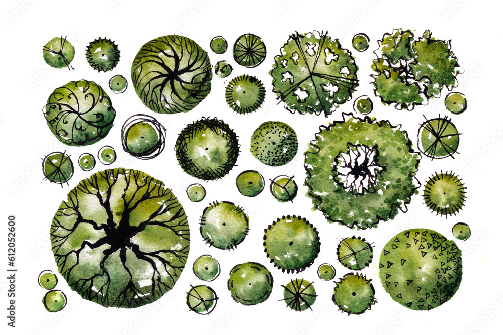 Symbols of Landscape architect plan design by watercolor hand drawn ...