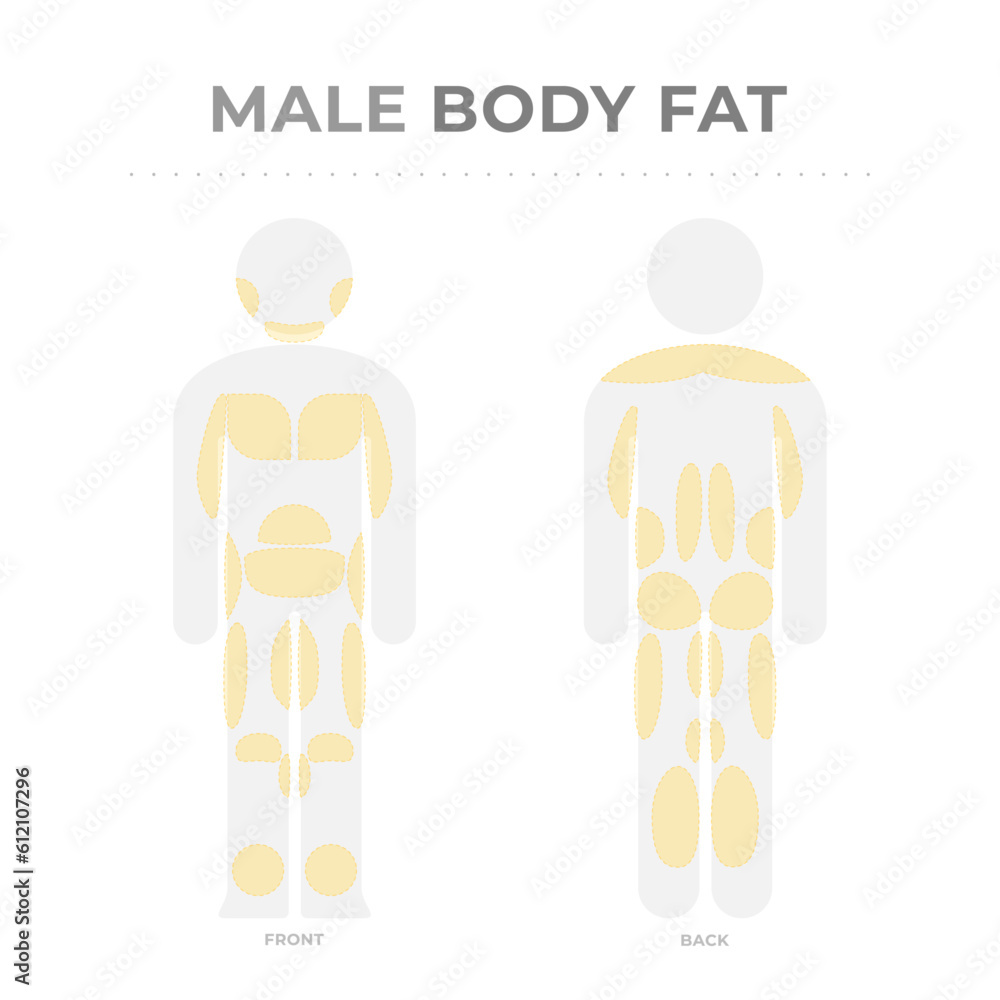 Body fat front and back view of male silhouette. Pictograms of ...