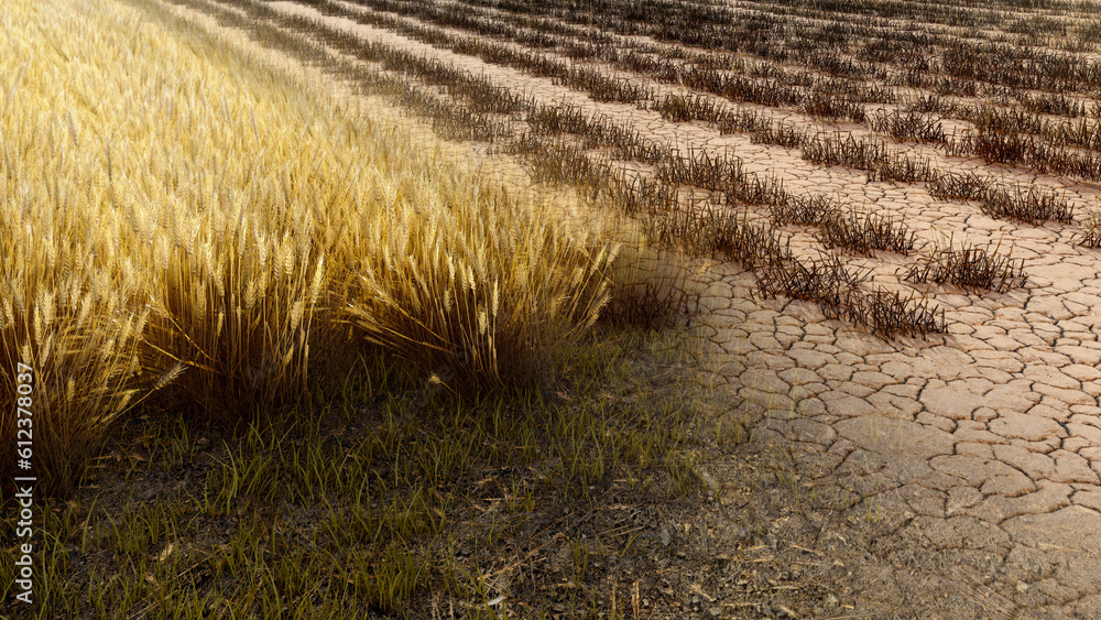 Dying wheat field transition realistic 3d render. soil depletion ...