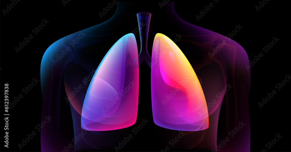 Human Respiratory System Lungs Anatomy. Man silhouette healthy lungs ...