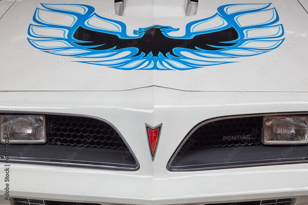 Front view of a classic white 1977 Pontiac Firebird 6.6 FW 87 Trans Am ...