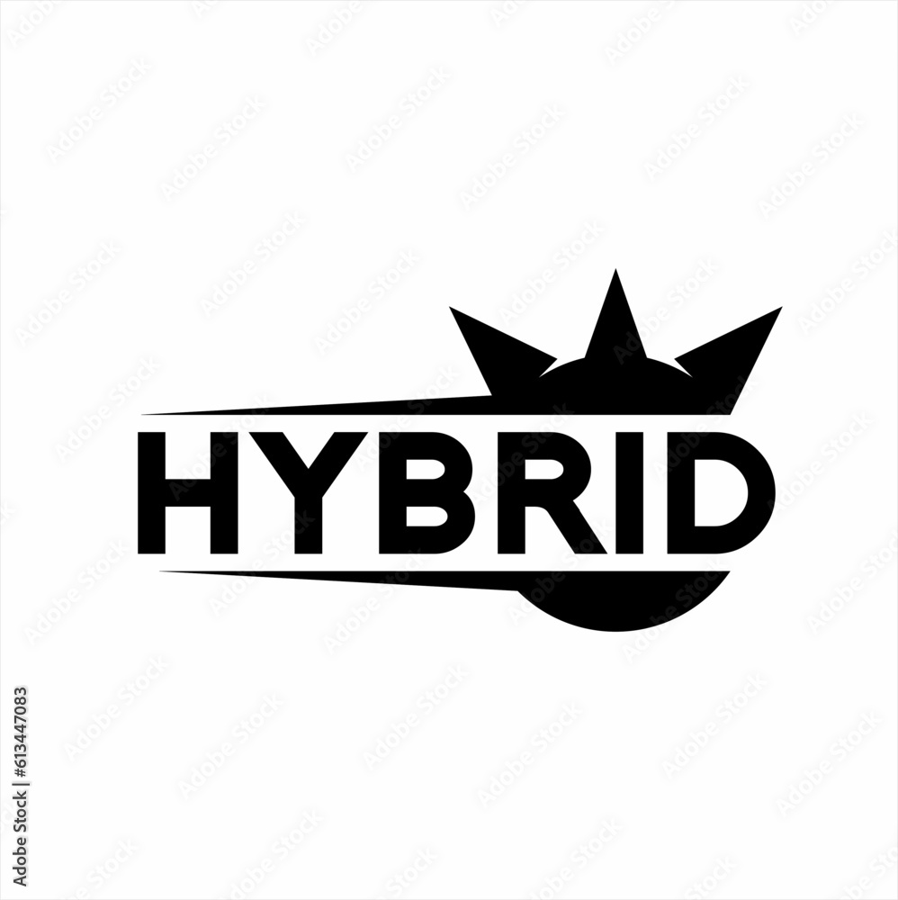 Hybrid logo design with rays and crown. Types of logos and vector logos ...